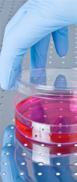 GSH Reference Test Catalog